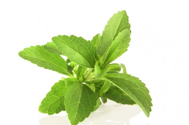 Edulcorantes naturales y saludables: miel, sucralosa y estevia