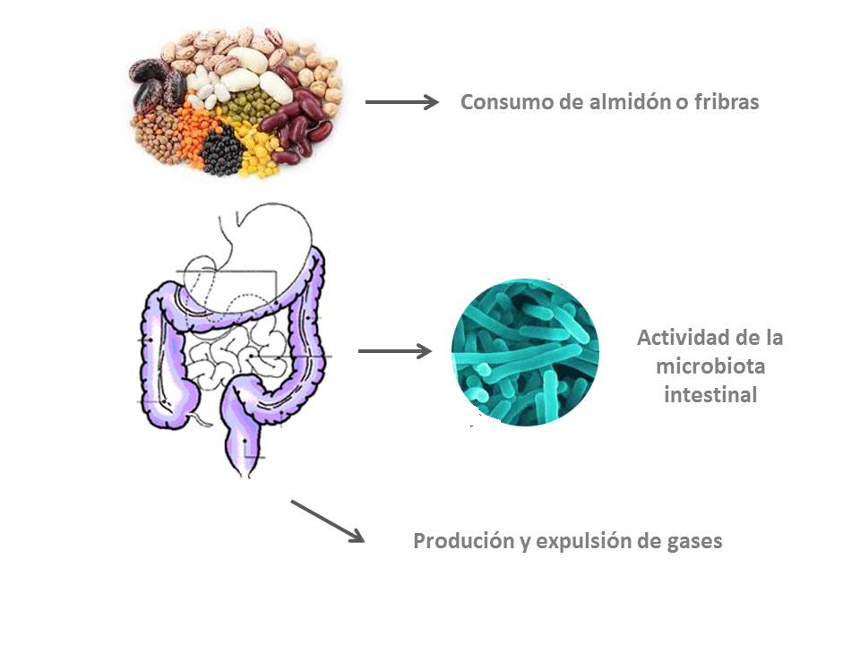 3 soluciones sencillas para los gases intestinales